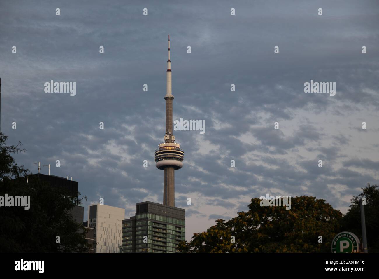 CN Tower - Toronto skyline - cloudy sky - evening light - urban ...
