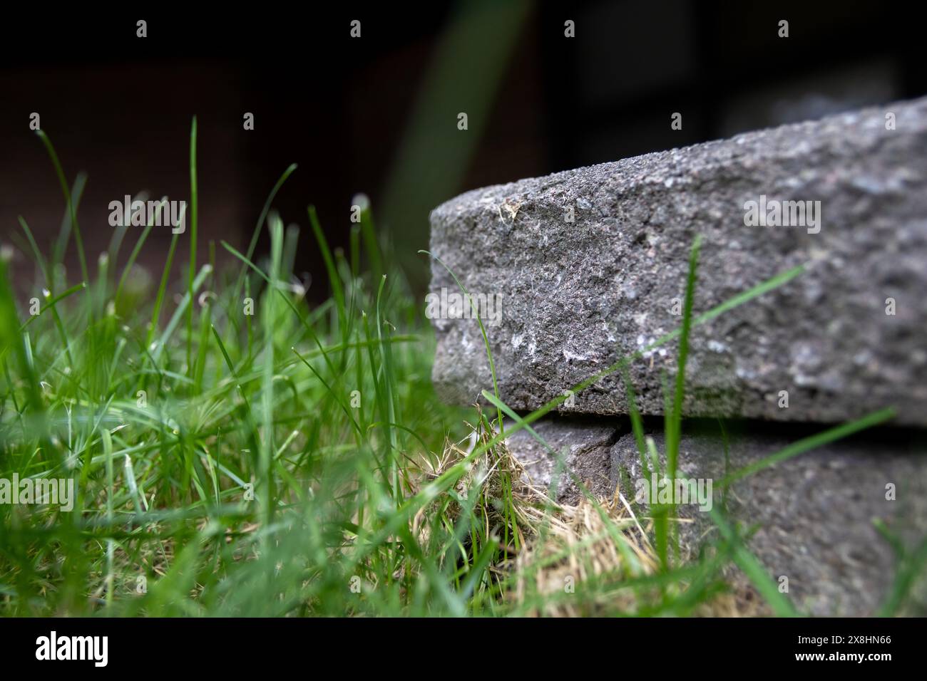 Vibrant green grass - rough-textured grey stone - natural light ...
