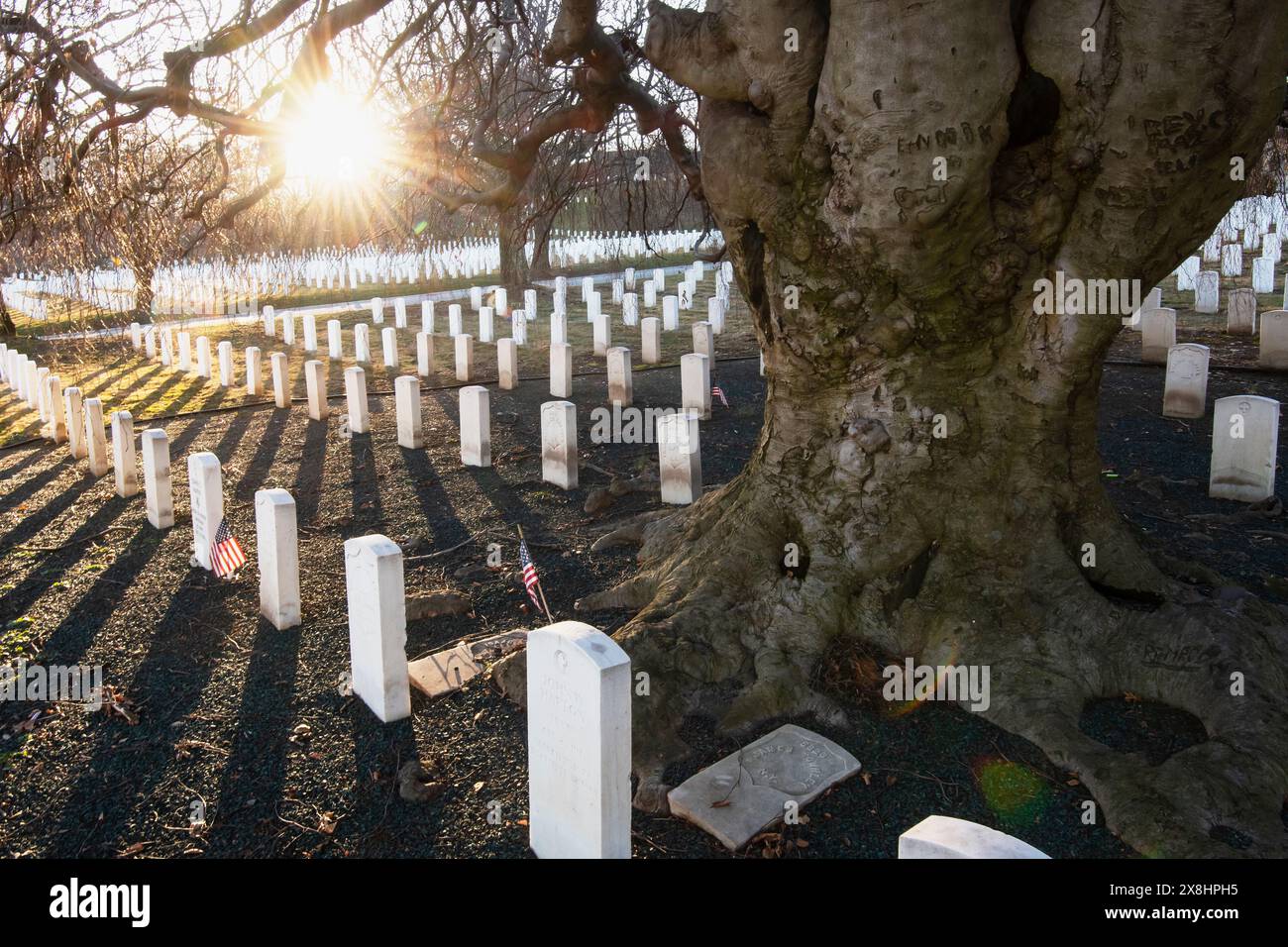 Cypress Hills National Cemetery, Brooklyn, New York Stock Photo - Alamy