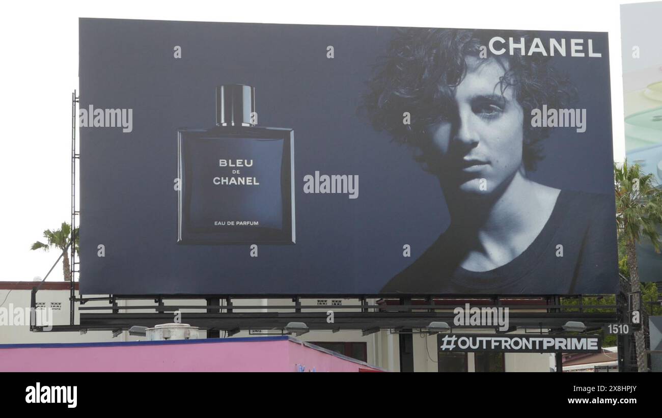 Los Angeles, California, USA 24th May 2024 Chanel Timothee Chalamet ...