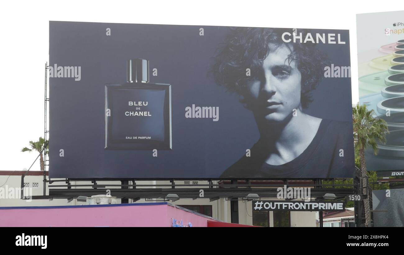 Los Angeles, California, USA 24th May 2024 Chanel Timothee Chalamet ...