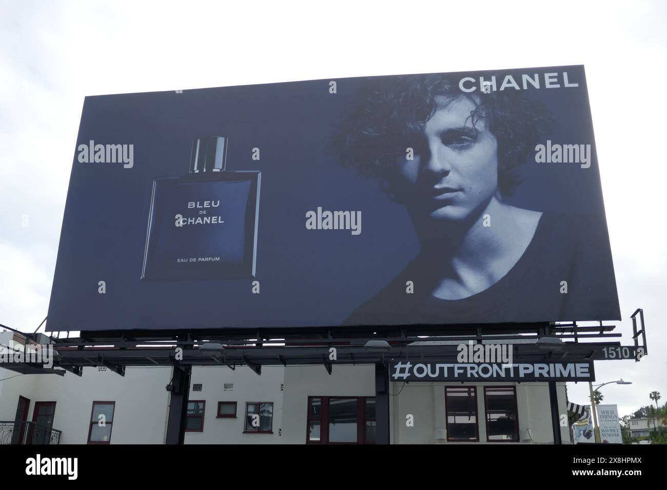 Los Angeles, California, USA 24th May 2024 Chanel Timothee Chalamet ...