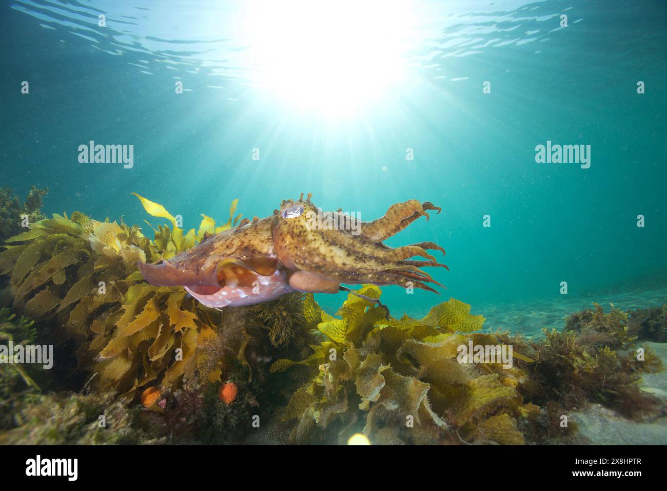 Ejecting water hi-res stock photography and images - Alamy