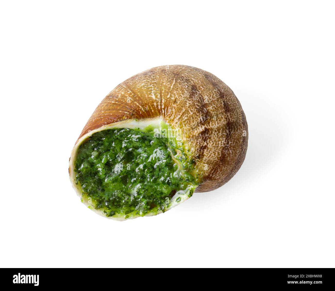 Cooked snail Cut Out Stock Images & Pictures - Alamy