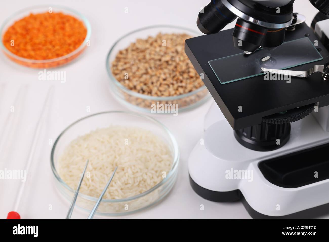 Food Quality Control. Microscope, petri dishes with different products ...