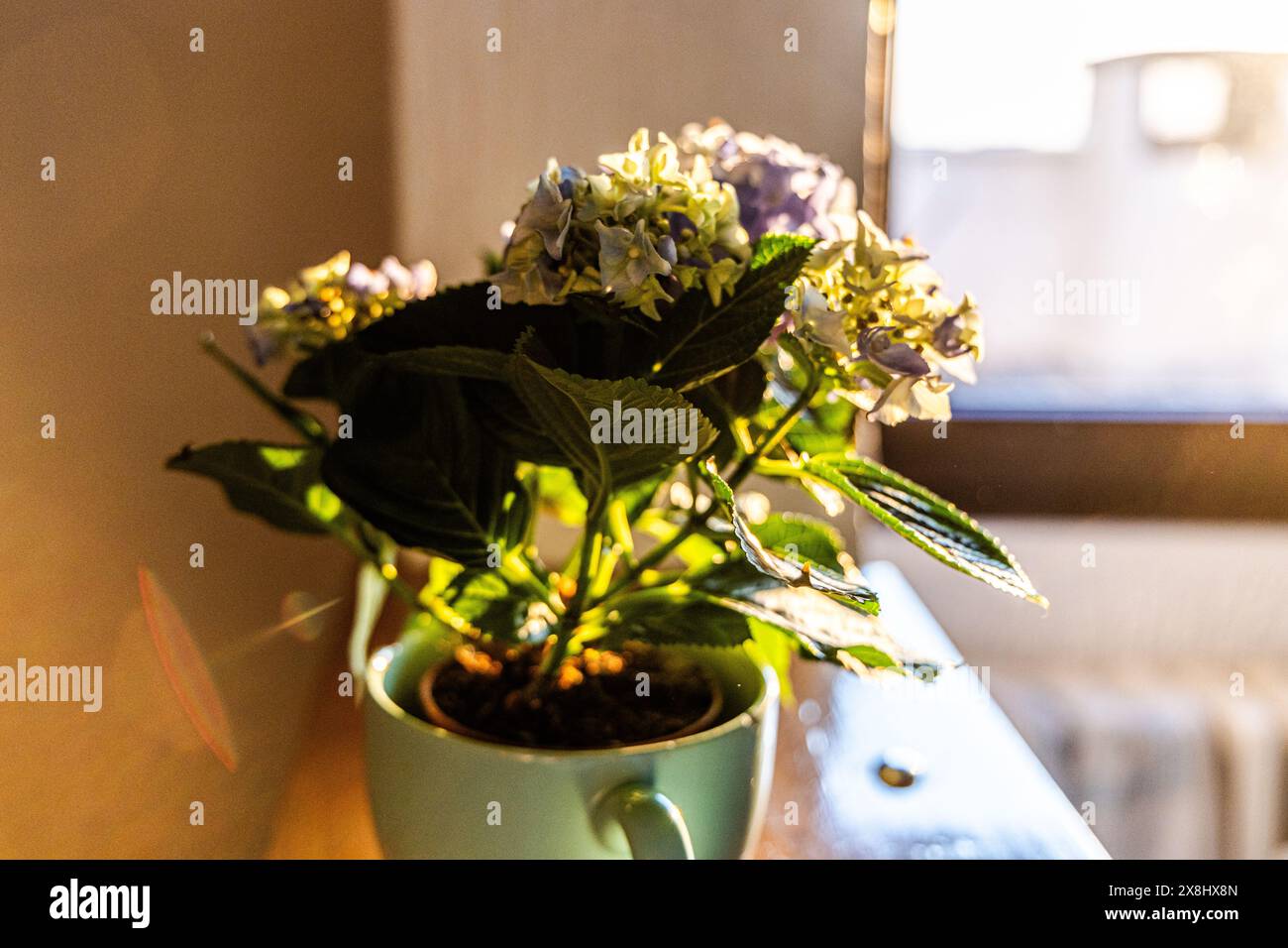 A potted plant is placed on top of a sturdy wooden table, creating a ...