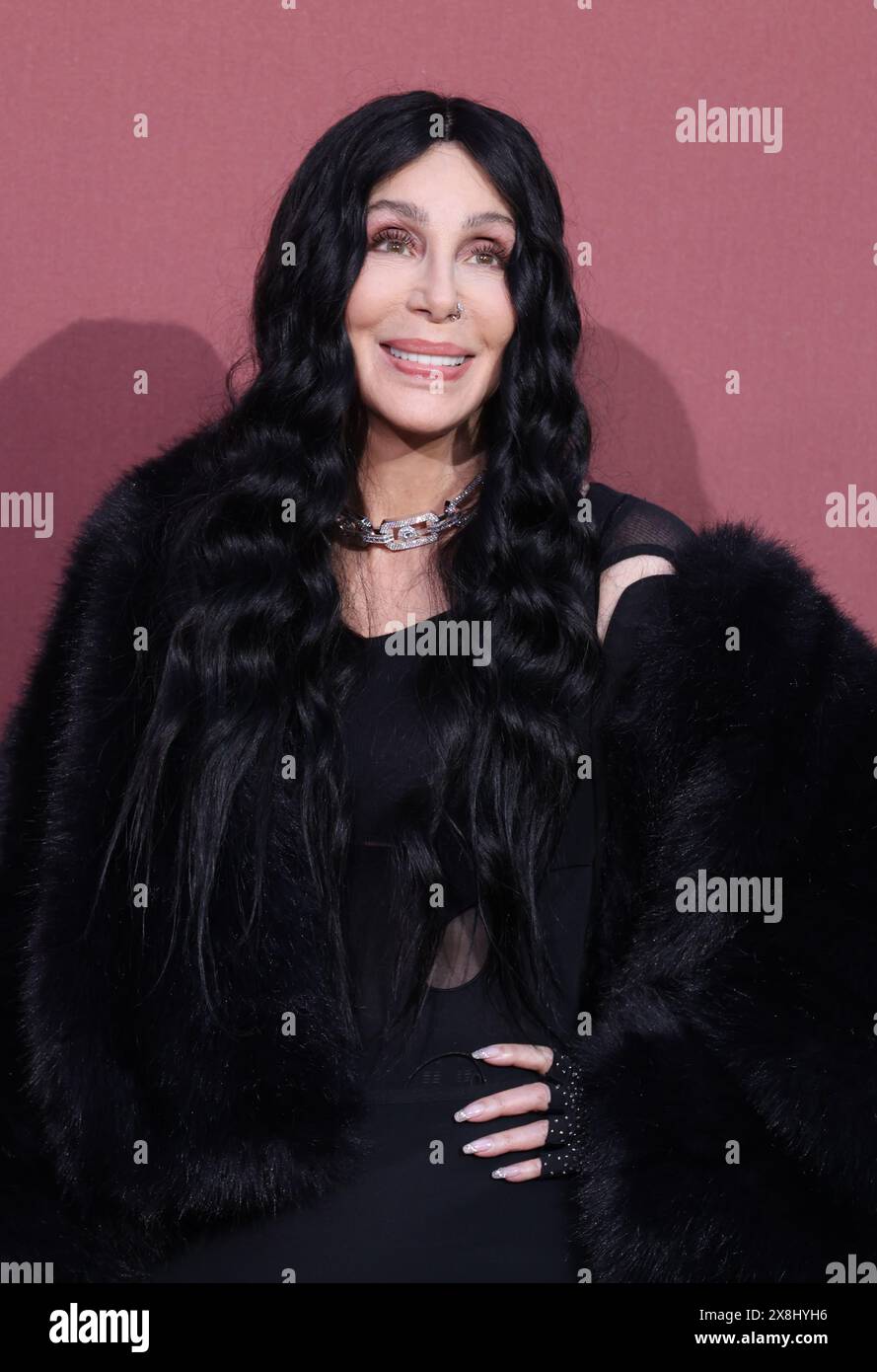 Cher attends the amfAR Cannes Gala 30th edition Presented by Chopard ...