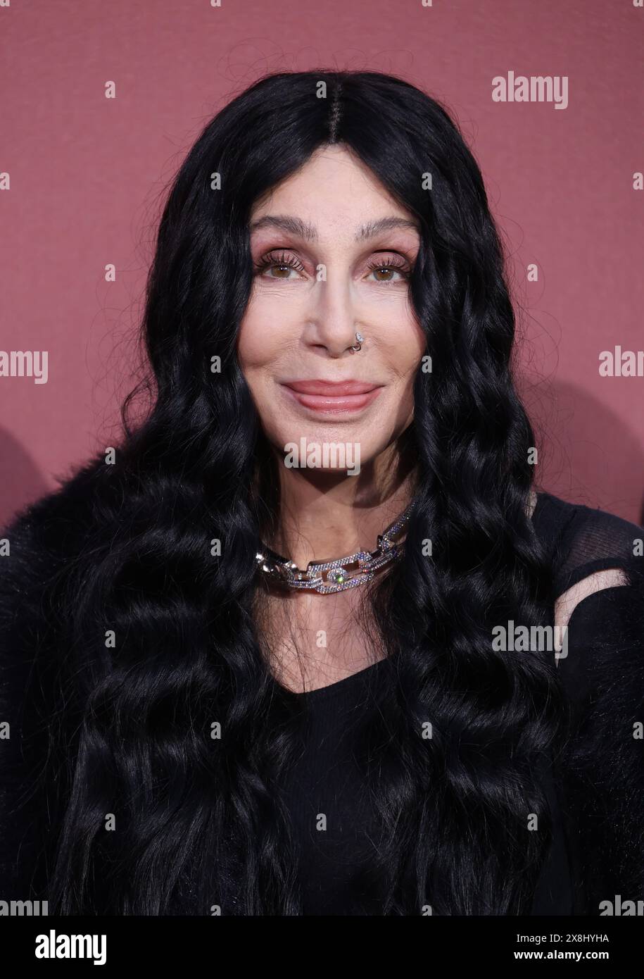 Cher attends the amfAR Cannes Gala 30th edition Presented by Chopard ...