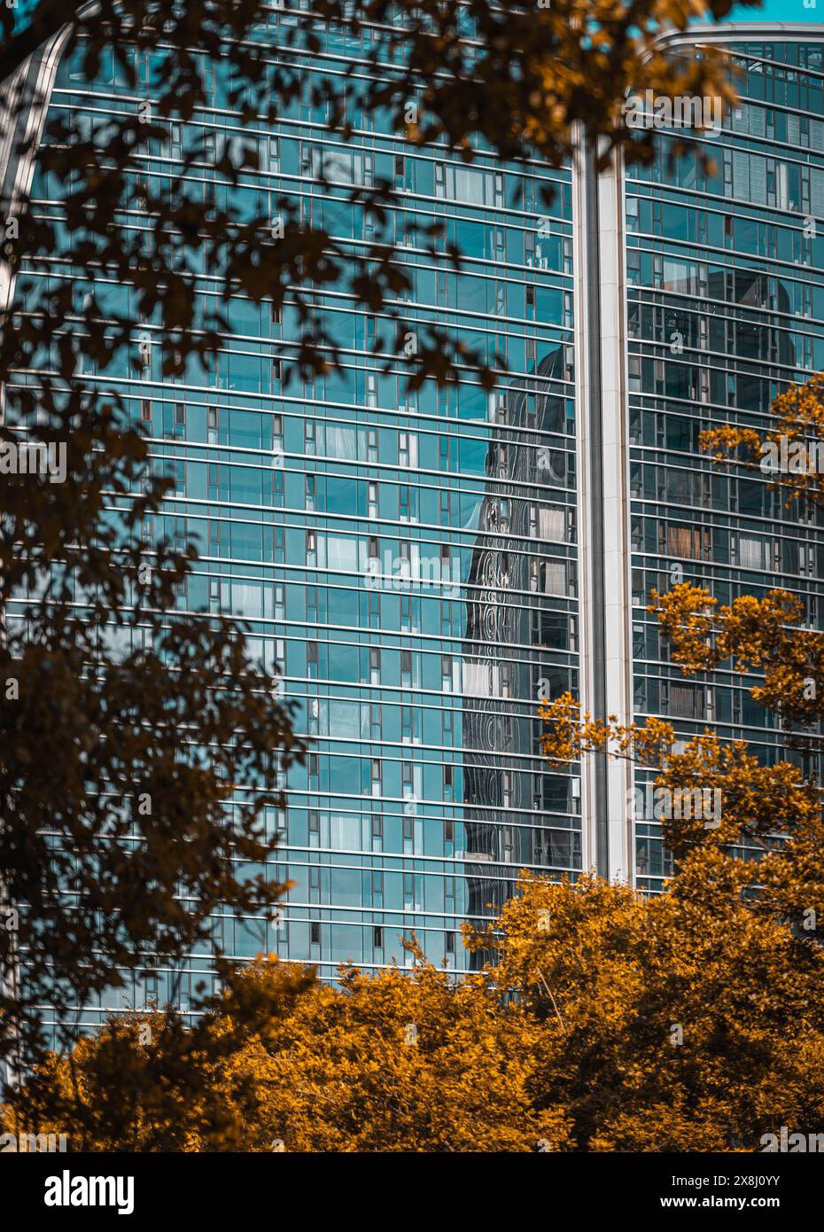 Modern financial buildings in business district; Architectural ...