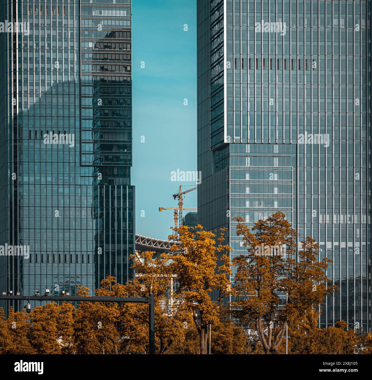 Modern financial buildings in business district; Architectural ...