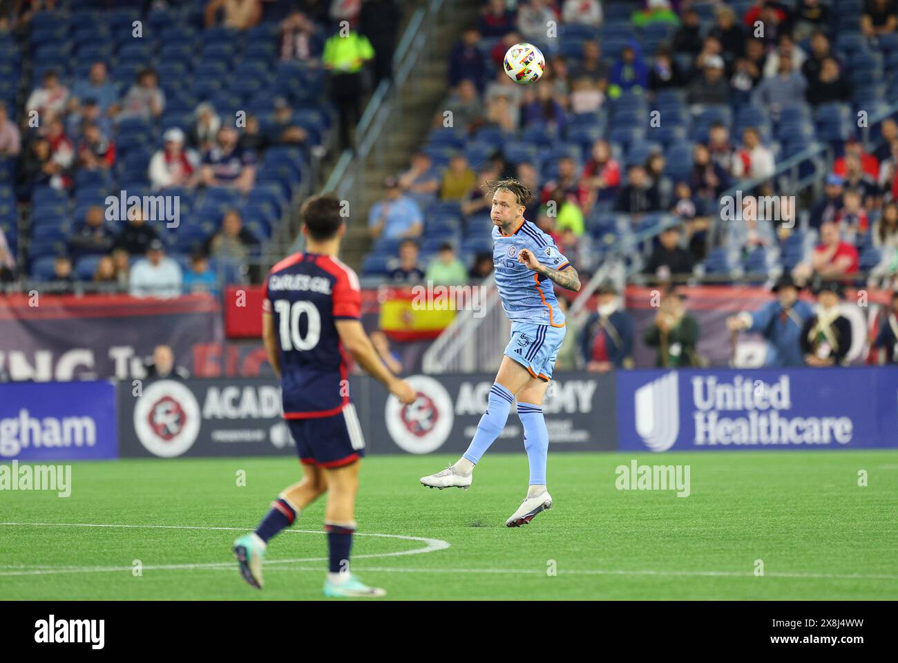 Birk risa hi-res stock photography and images - Alamy