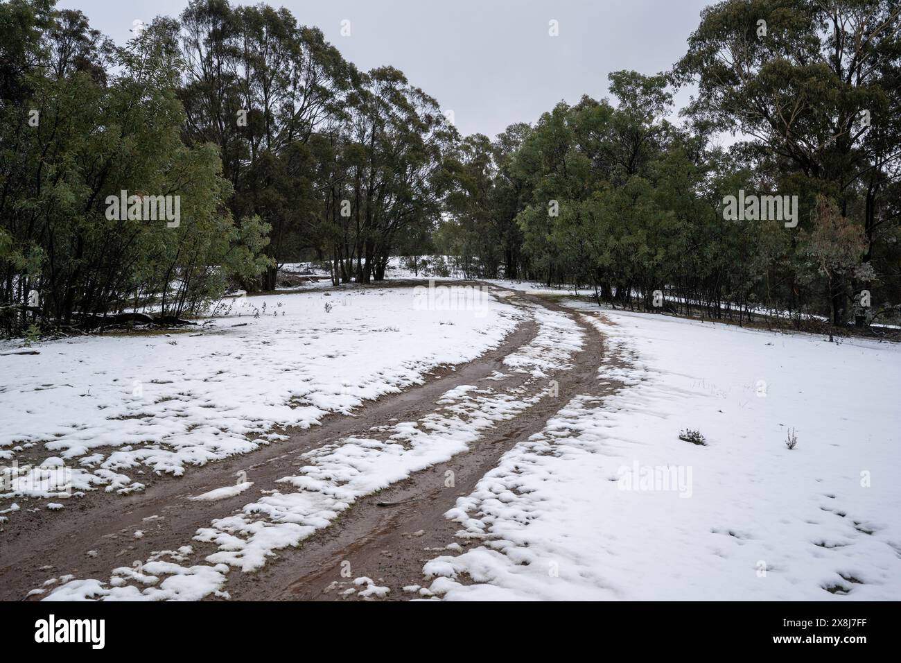 Track through frozen landscape hi-res stock photography and images - Alamy