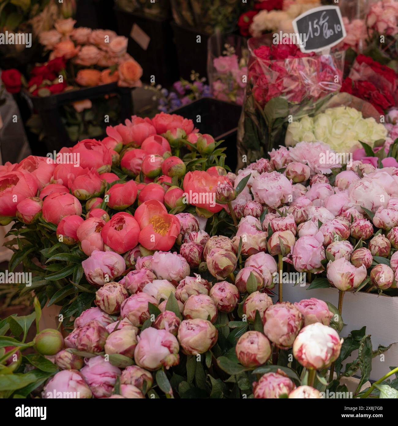 Vibrant markets hi-res stock photography and images - Alamy