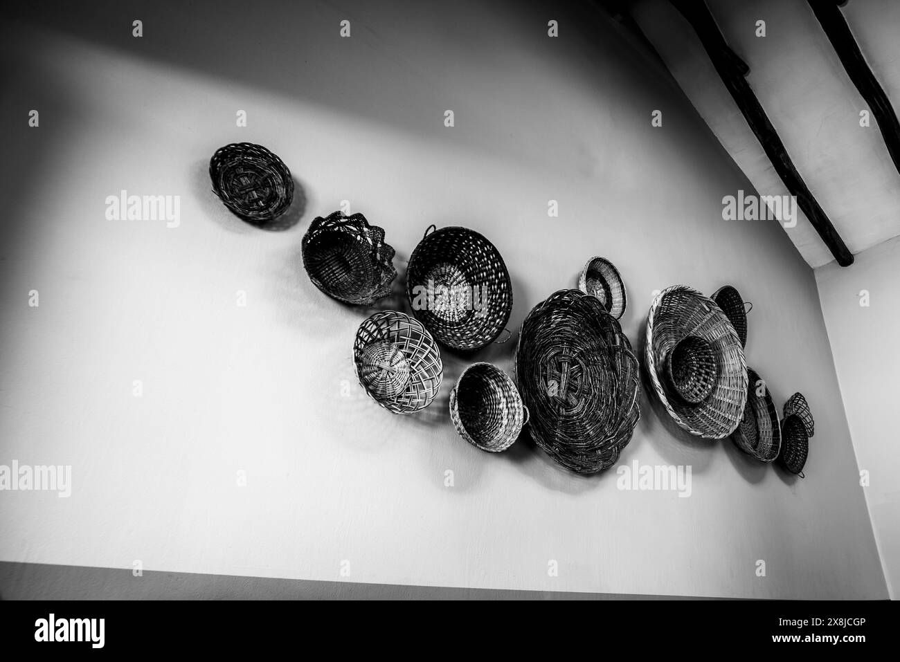 Abundance of colors Black and White Stock Photos & Images - Alamy