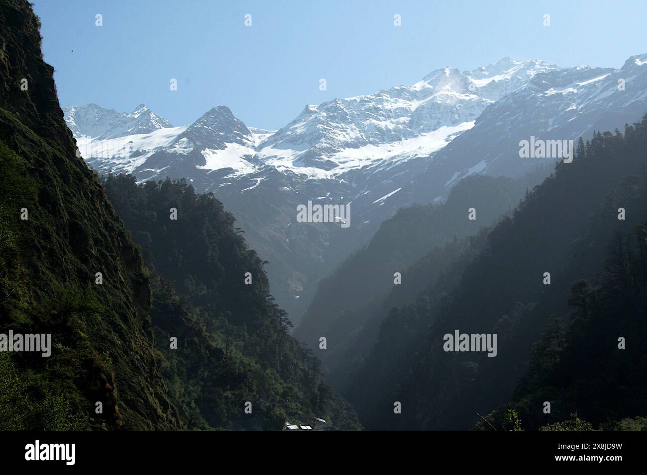View of ice-clad and tree-clad mountainous landscape along trekking ...