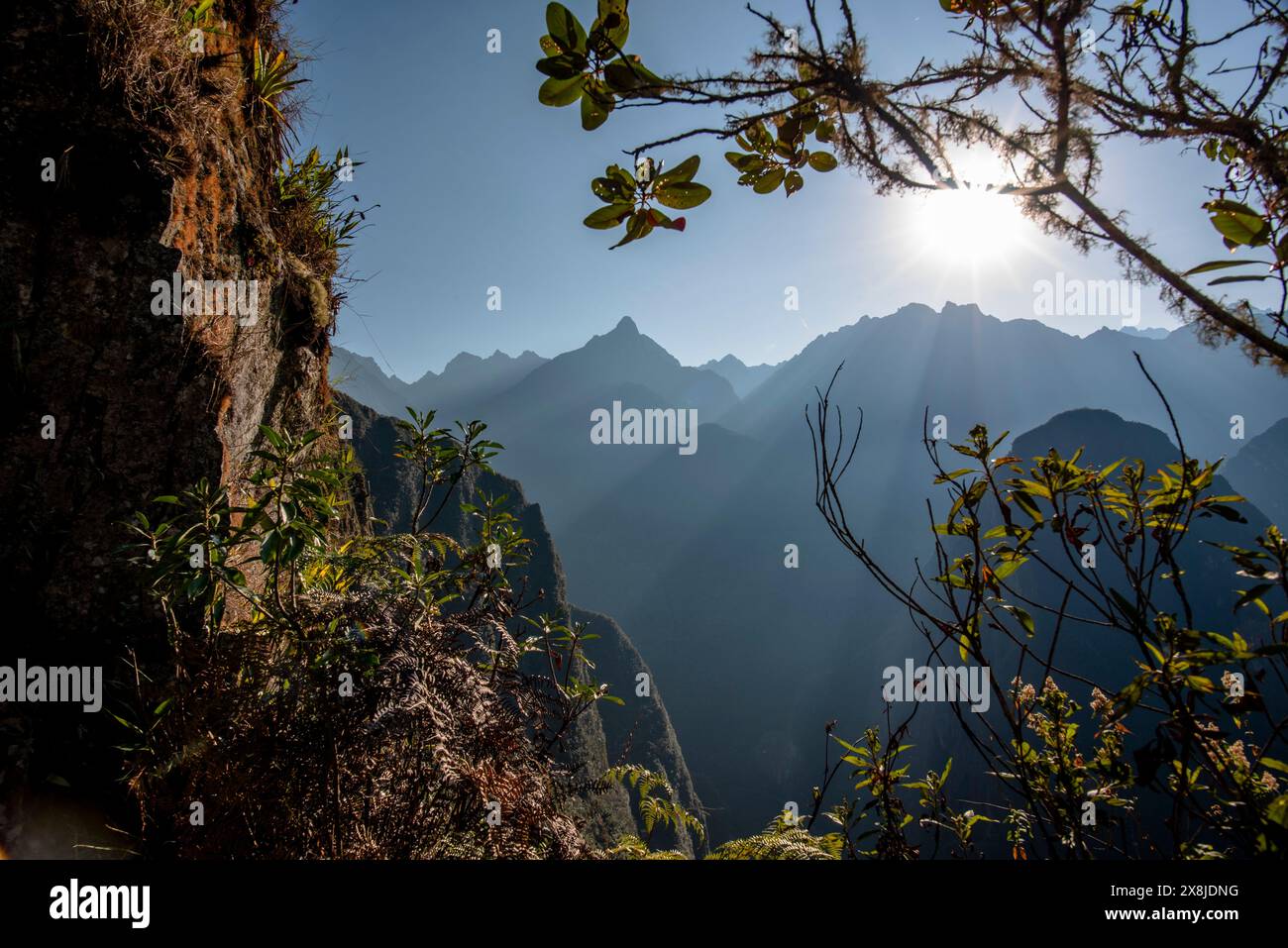 sunrise among the trees and Inca ruins with the mountain peaks of the ...