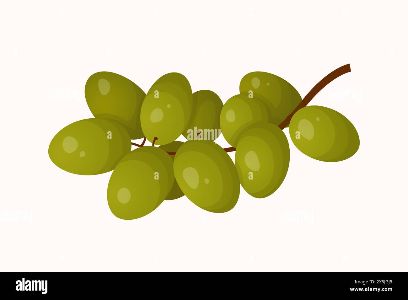 Green grape fruit. Vector illustration in realistic style. Food illustration. Colorful and juicy ...
