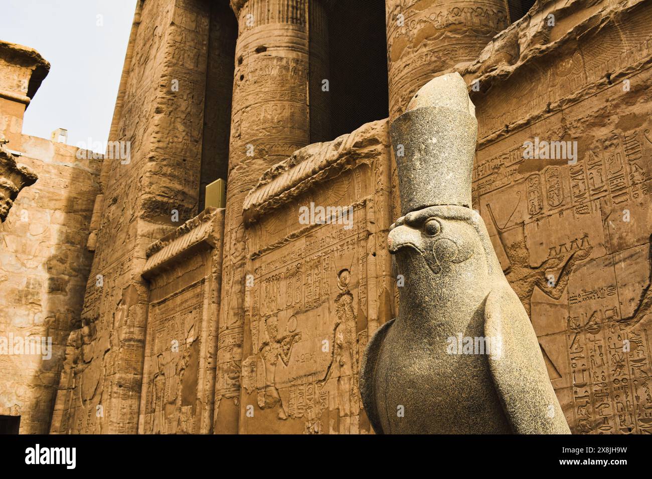 Horus statue (hawk shape) in the temple of Edfu in Egypt Stock Photo ...