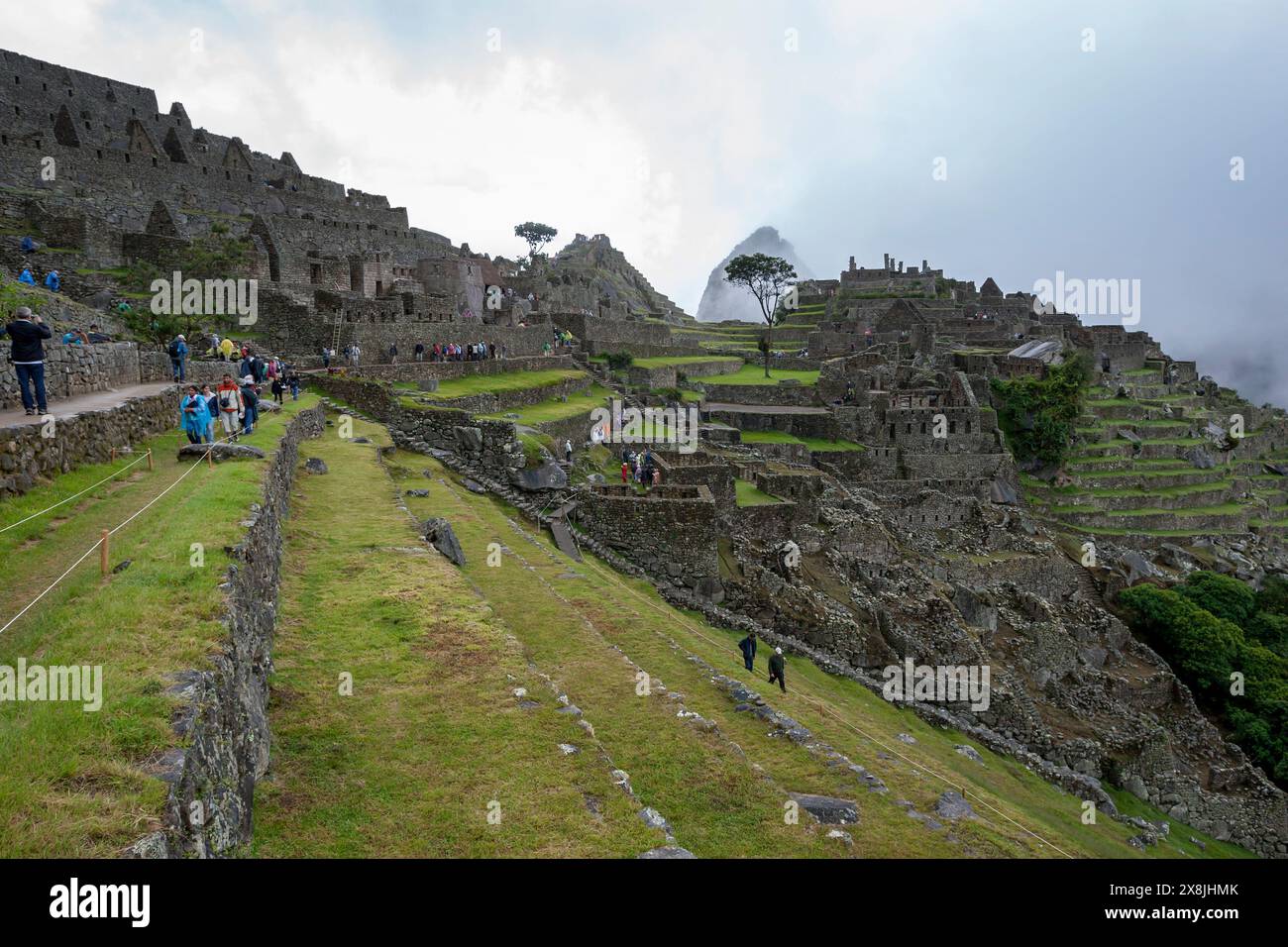 Steep terraces at the site of Machu Picchu looking toward the stone ...