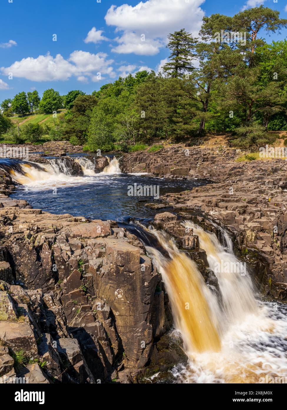 The Low Force Waterfall near Bowlees, County Durham, England, UK Stock ...