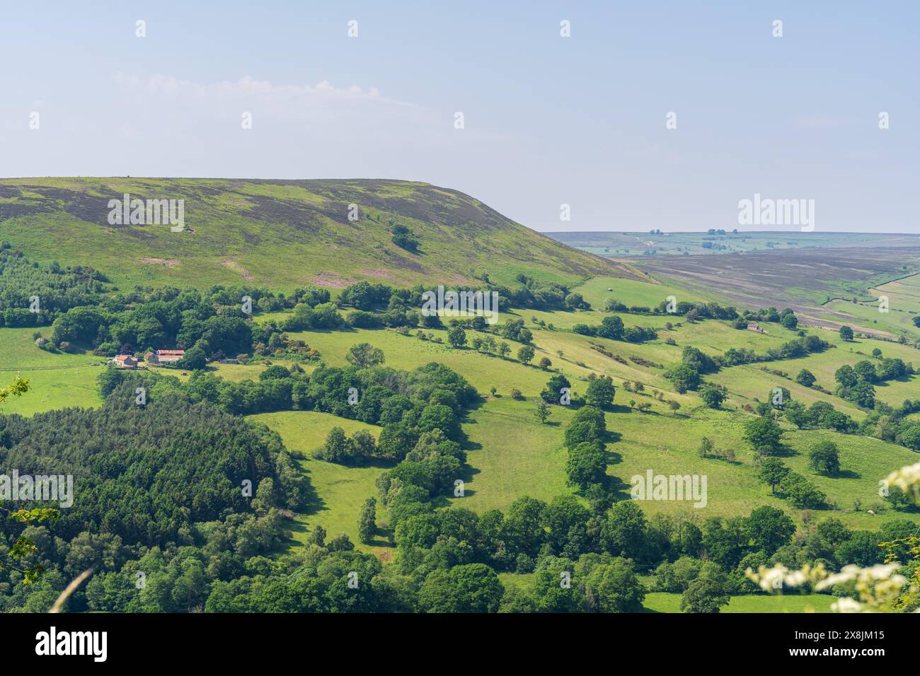 Landscape near Laskill, North Yorkshire, England, UK Stock Photo - Alamy