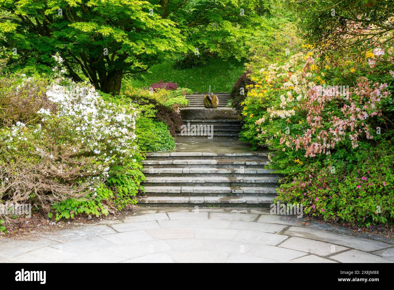 'Swan Fountain' sculpture by Willi Soukop 1950 in garden, Dartington ...
