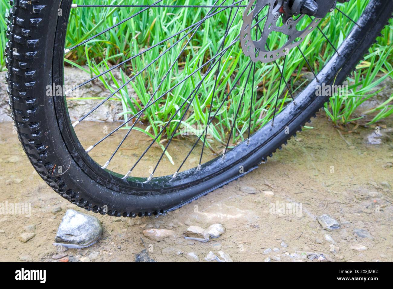 The sturdy tread of a trekking bike tire is showcased in a puddle off ...