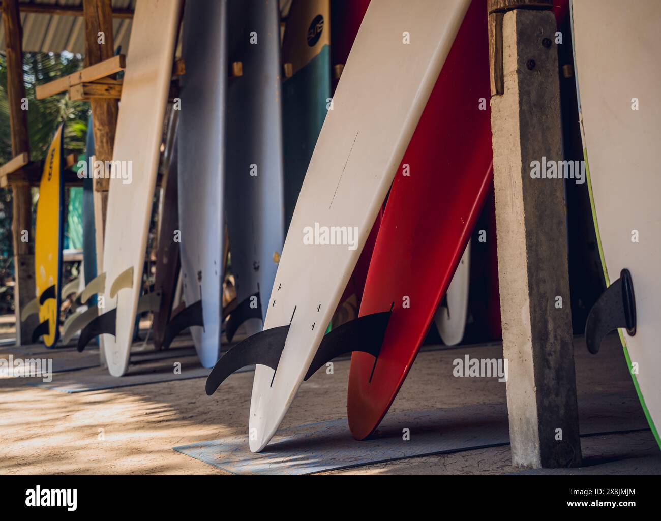 A variety of surfboards are neatly displayed on a stand Stock Photo - Alamy