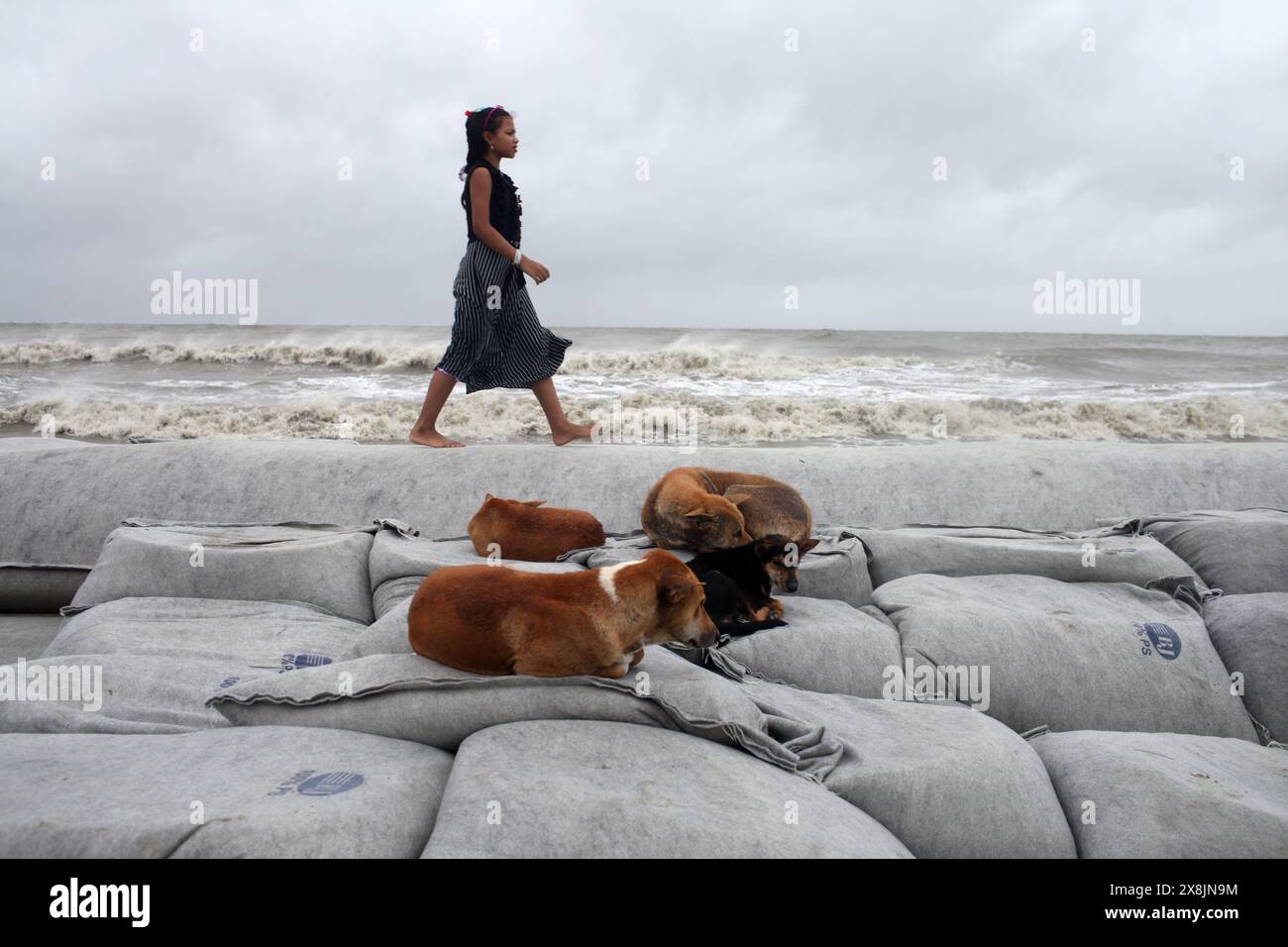 Dhaka, Dhaka, Bangladesh. 26th May, 2024. A Tourist walking through ...