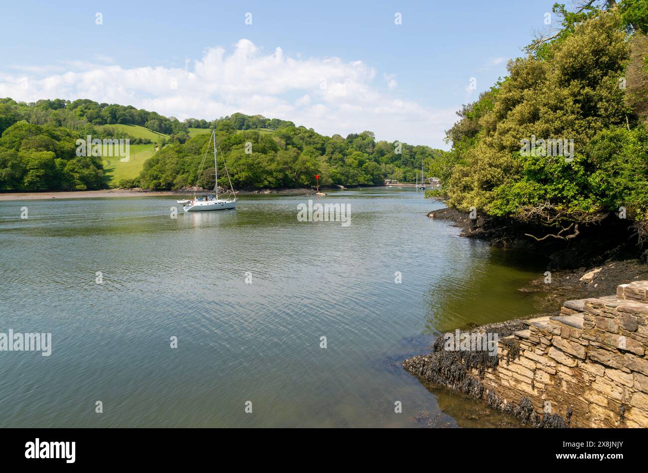 Landscape view River Dart estuary and valley yacht boat sailing towards ...