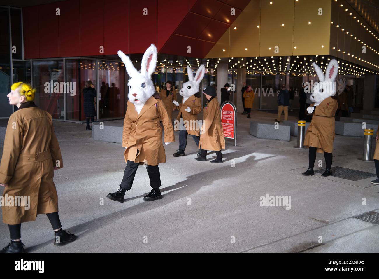 Manchester UK. People in rabbit costumes and trench coats walk ...