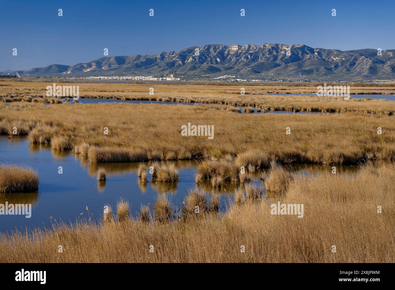 L'Encanyissada and El Clot wetlands seen from L'Embut viewpoint ...