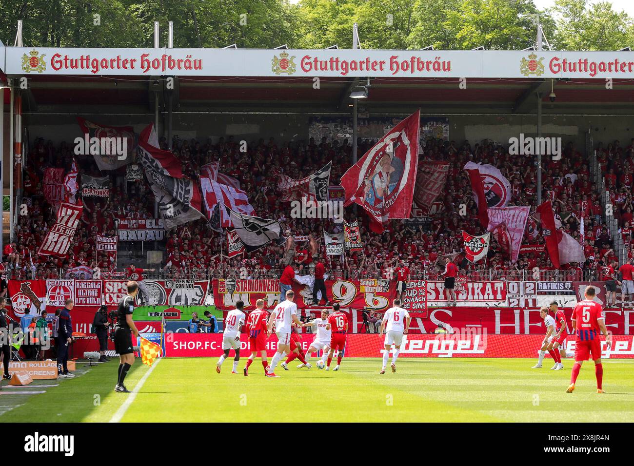 Heidenheim, Deutschland. 18th May, 2024. firo : 18.05.2024, football ...