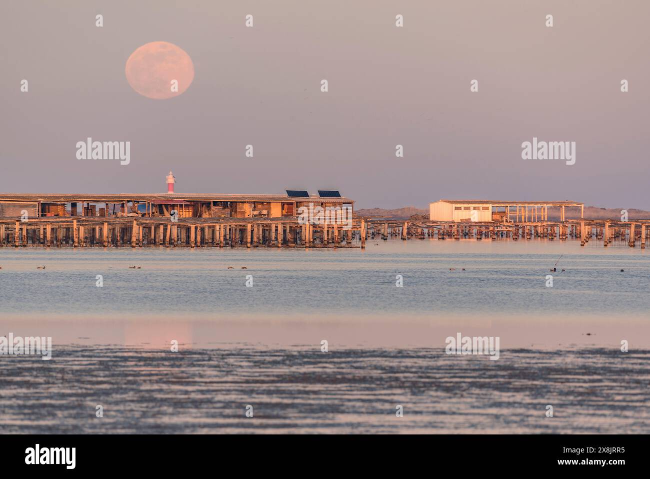 Luna del atardecer hi-res stock photography and images - Alamy