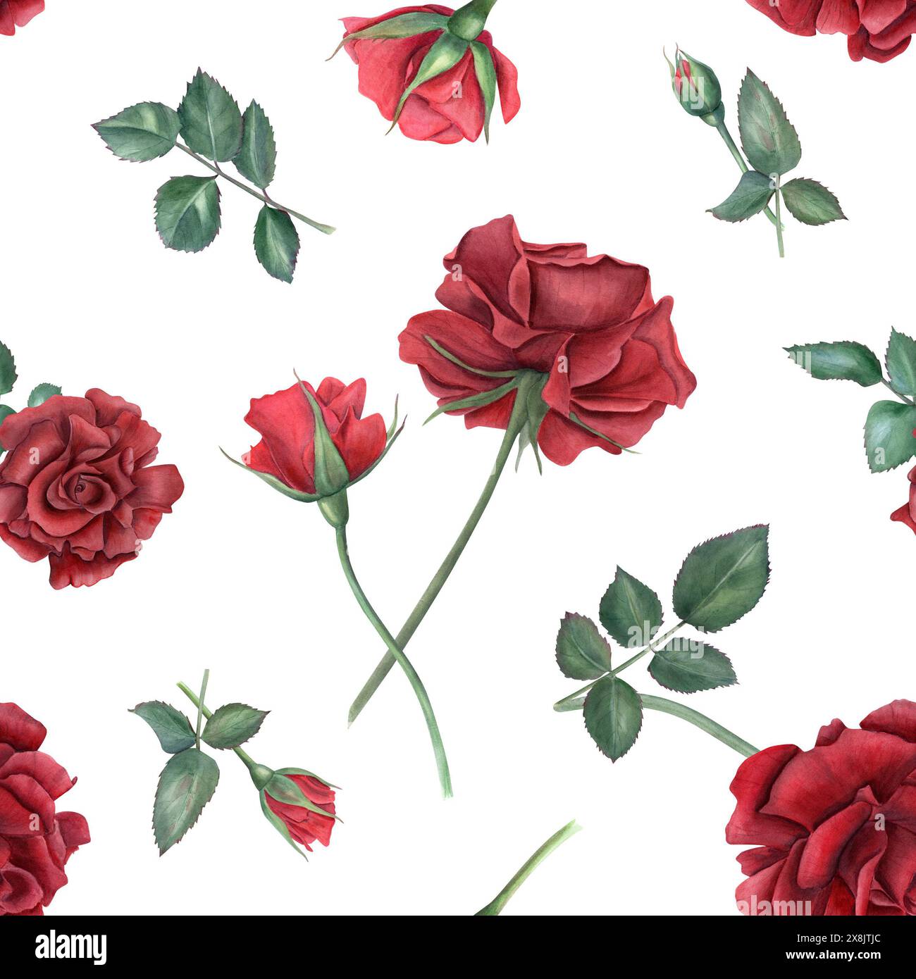 Red roses with buds on stem. Scarlet roses and green leaves. Ordered ...