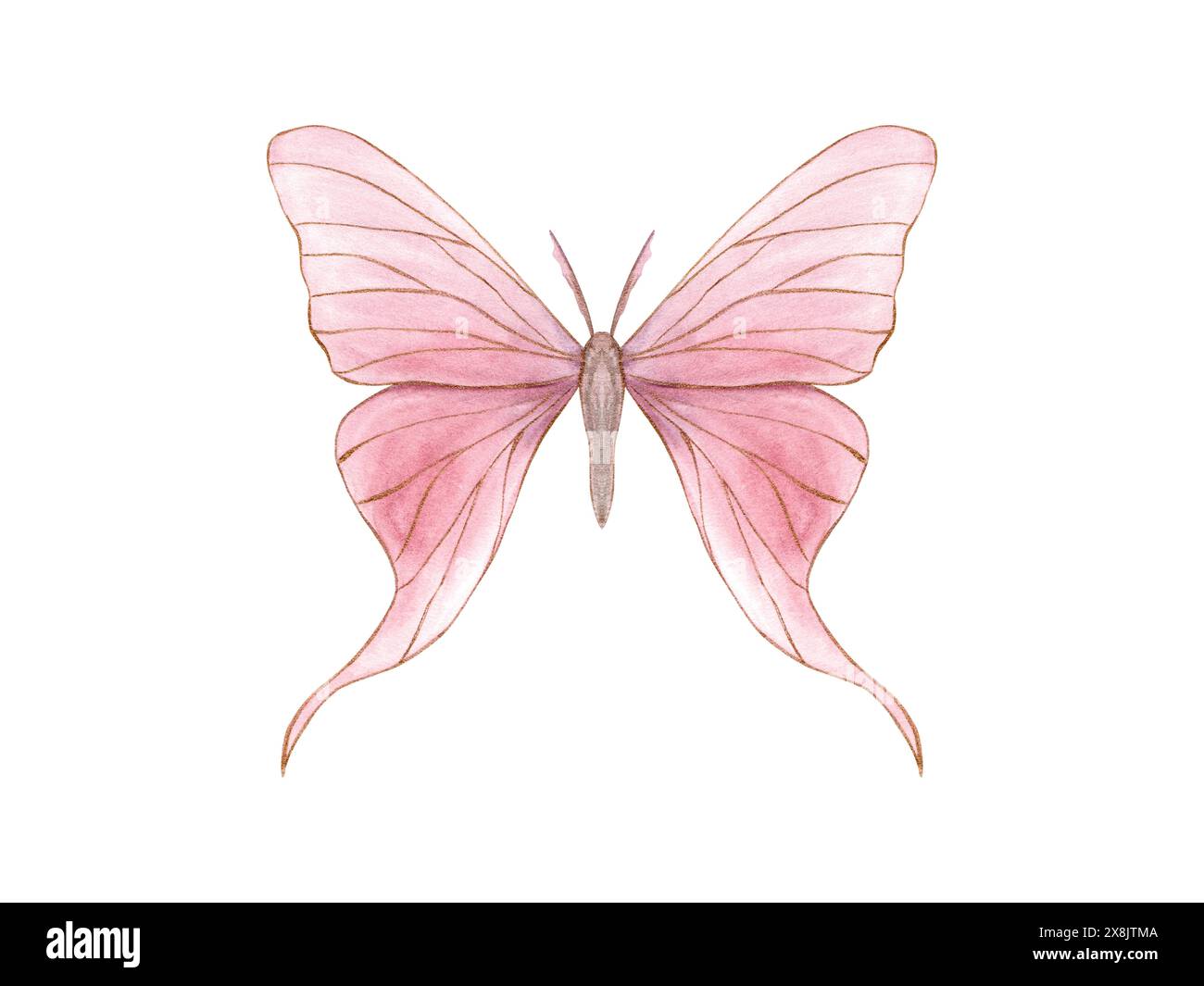 Pink butterfly clipart hi-res stock photography and images - Alamy