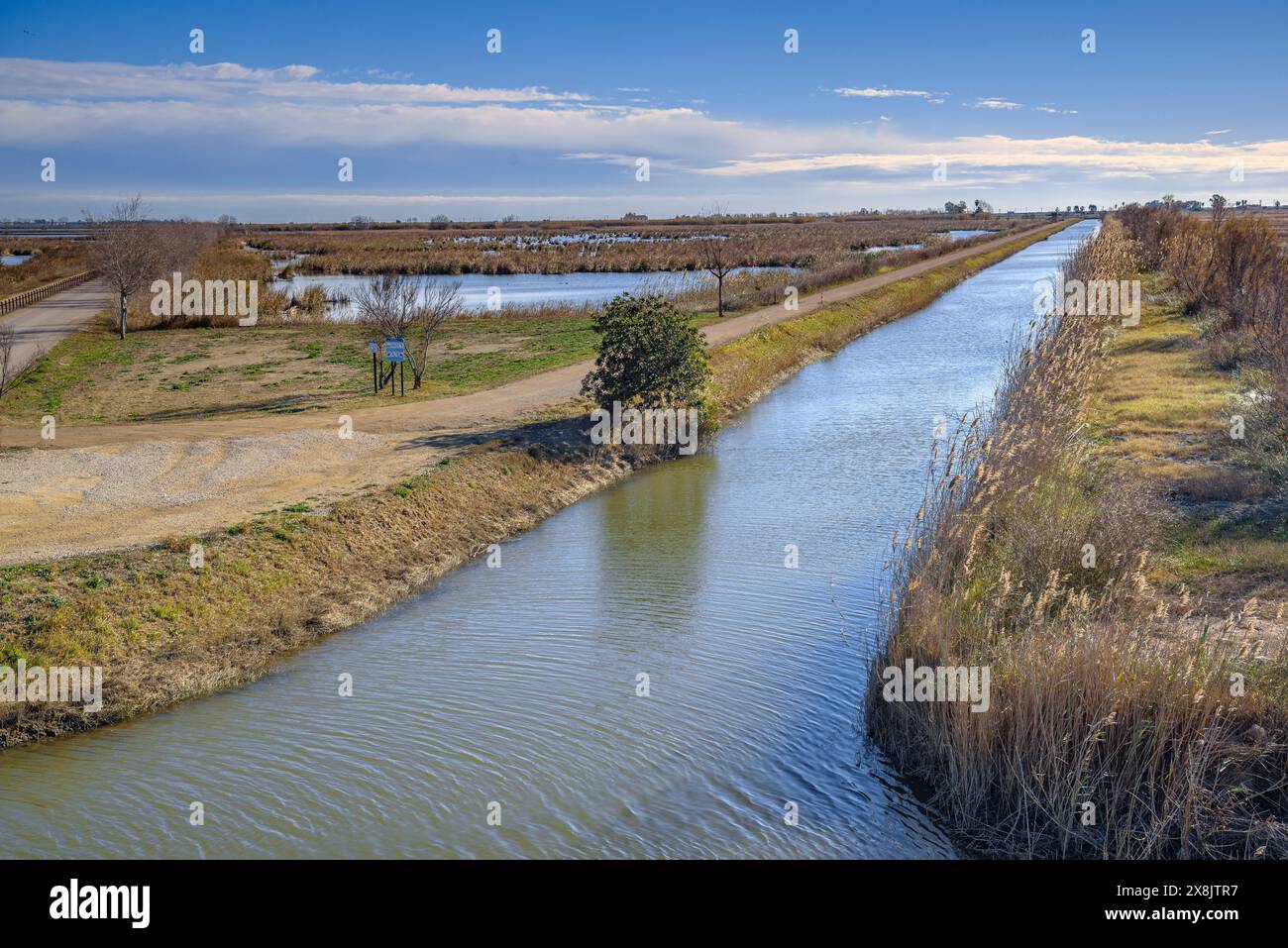 Water canals next to the L'Encanyissada and El Clot wetlands seen from ...
