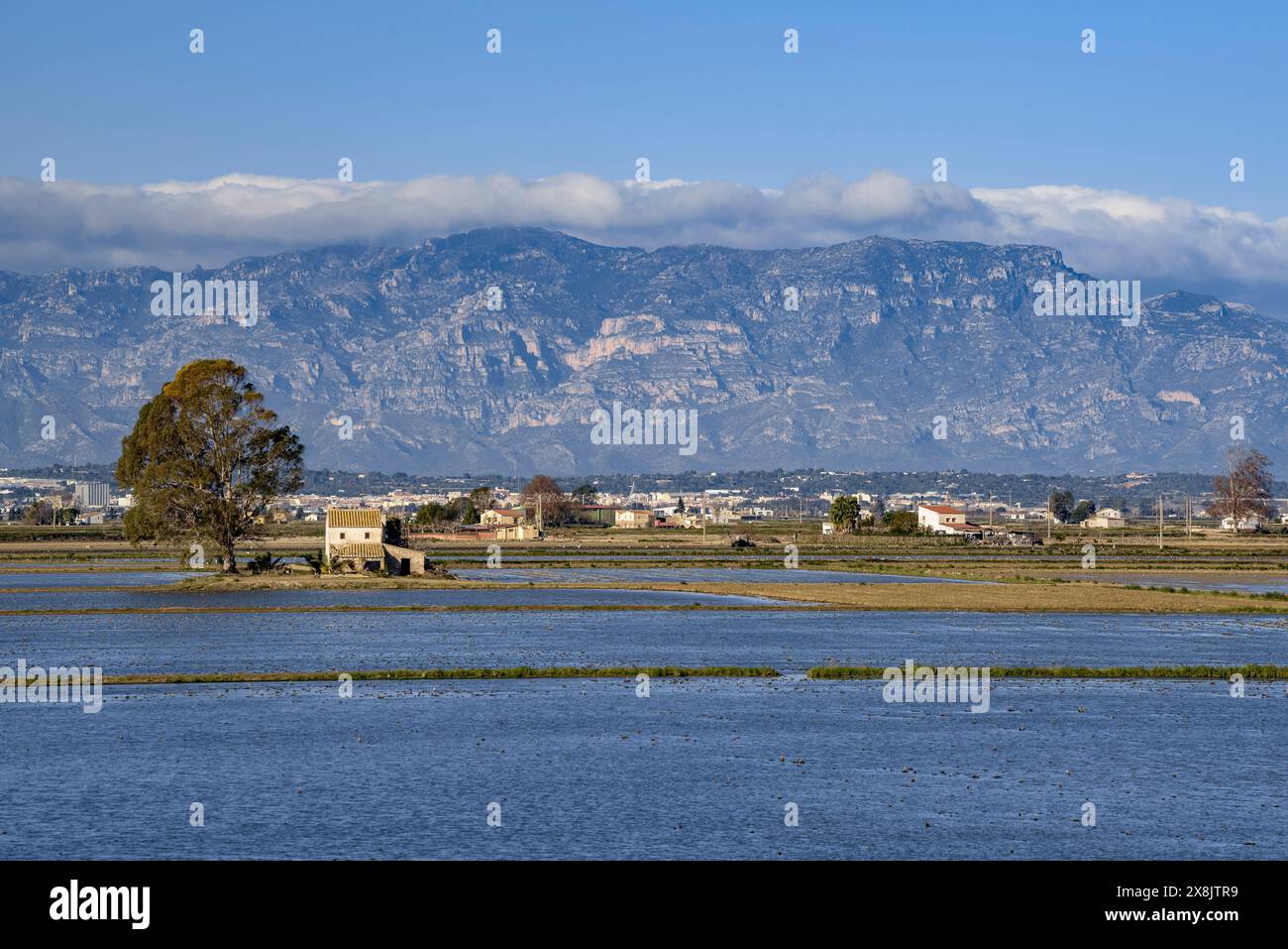 Water canals next to the L'Encanyissada and El Clot wetlands seen from ...