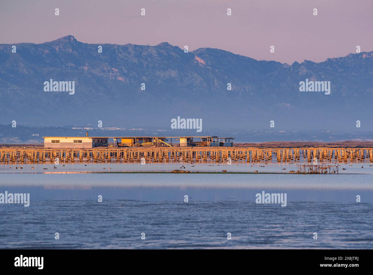 Sunset in Fangar Bay and its lighthouse, in the Ebro Delta (Tarragona ...