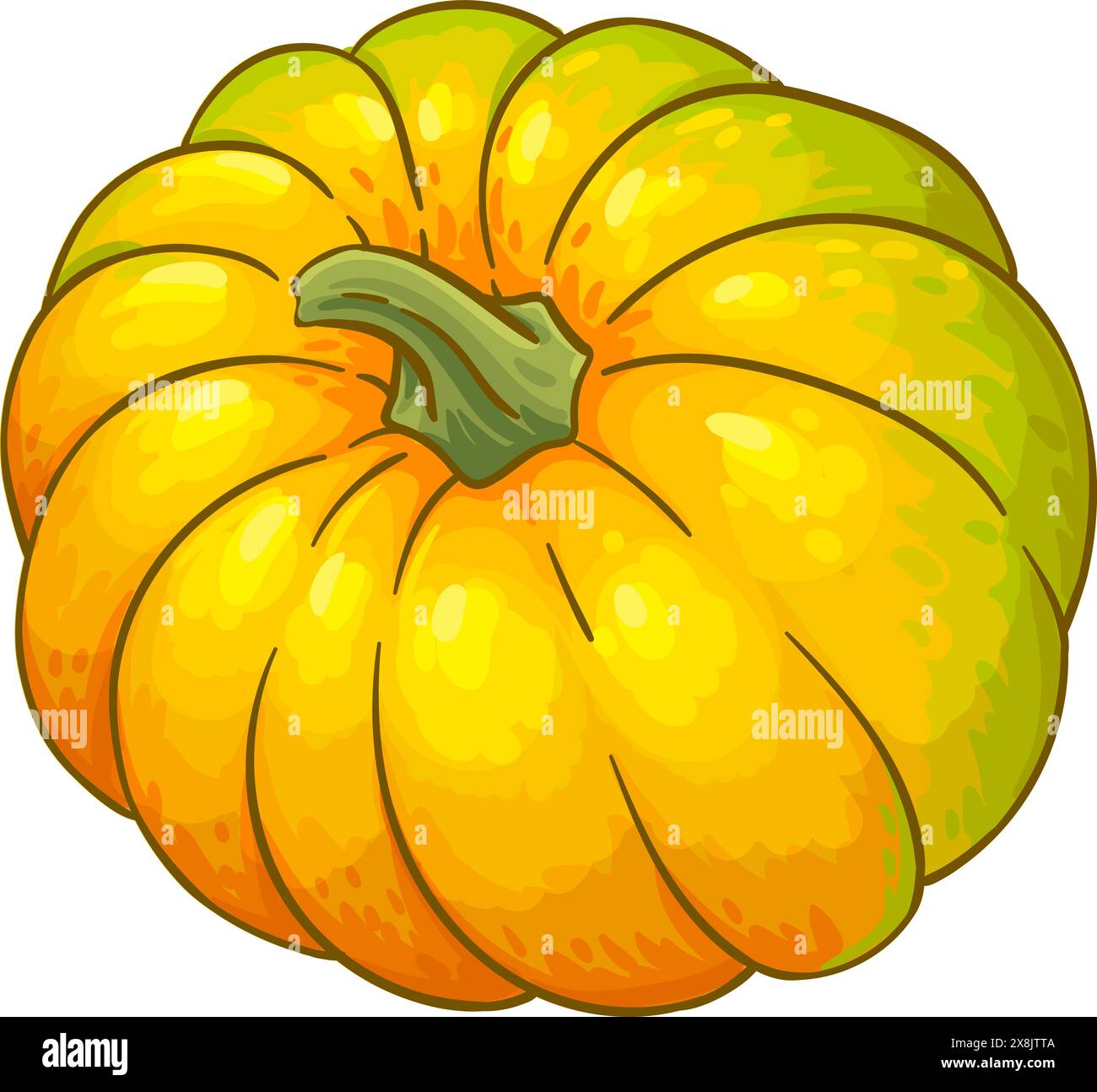 Pumpkin Fruit Colored Detailed Illustration Stock Vector Image & Art ...