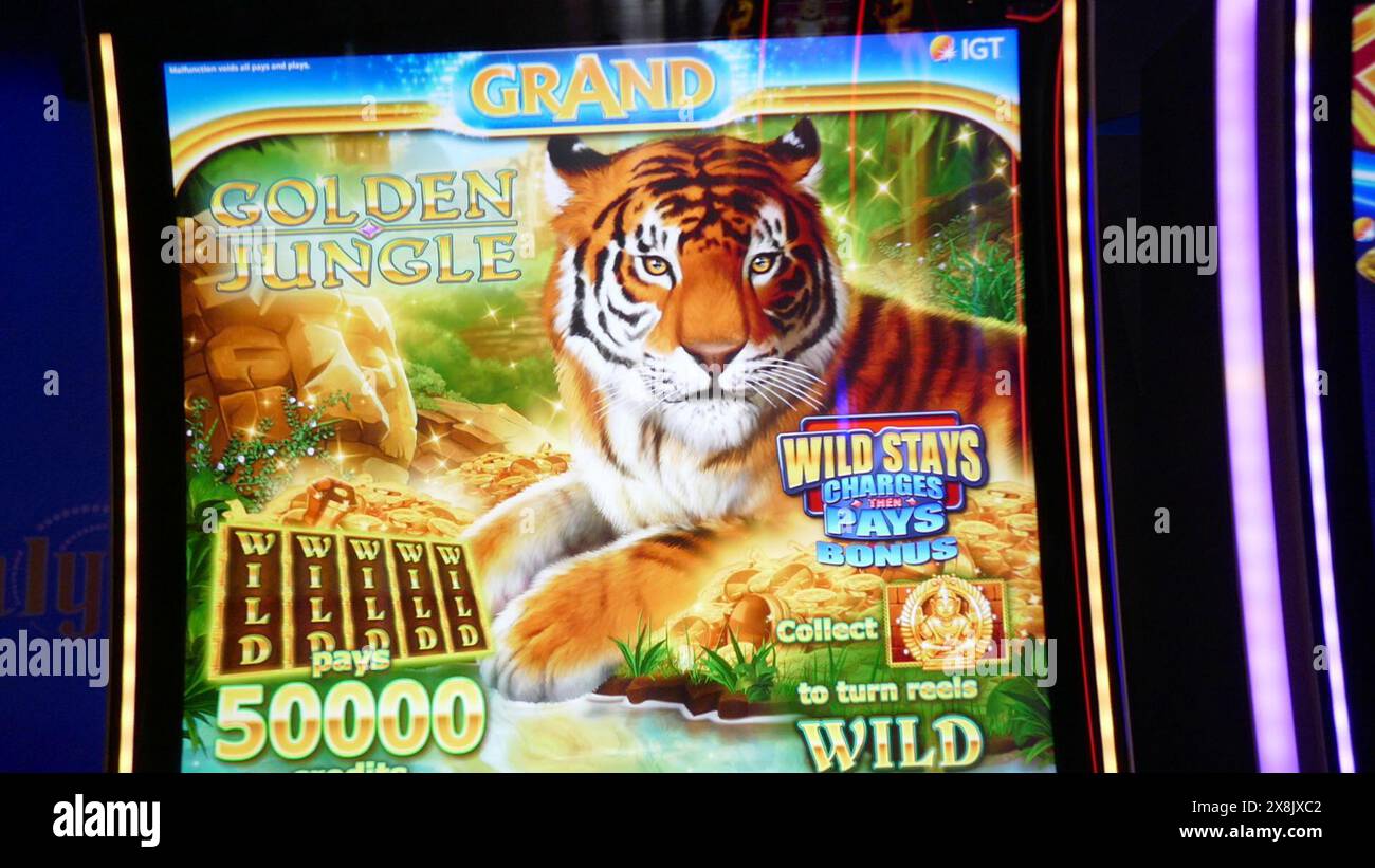 Las Vegas, Nevada, USA 15th May 2024 Golden Jungle Tiger Slot Machine ...
