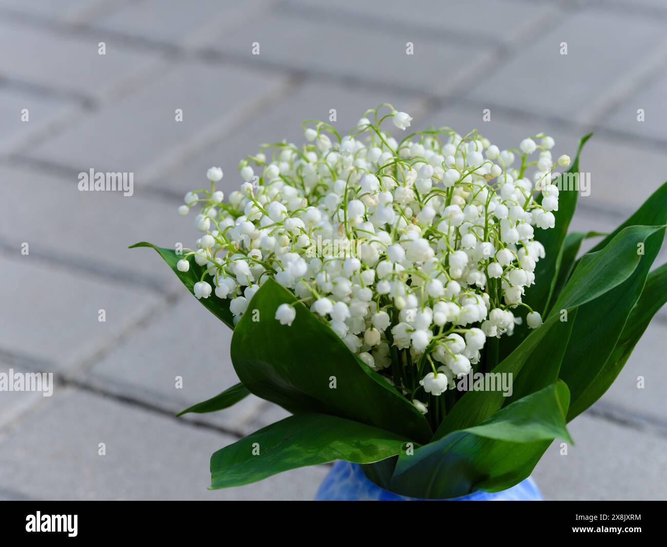 A close-up shot of abouquet of lilies of the valley against gray stone ...