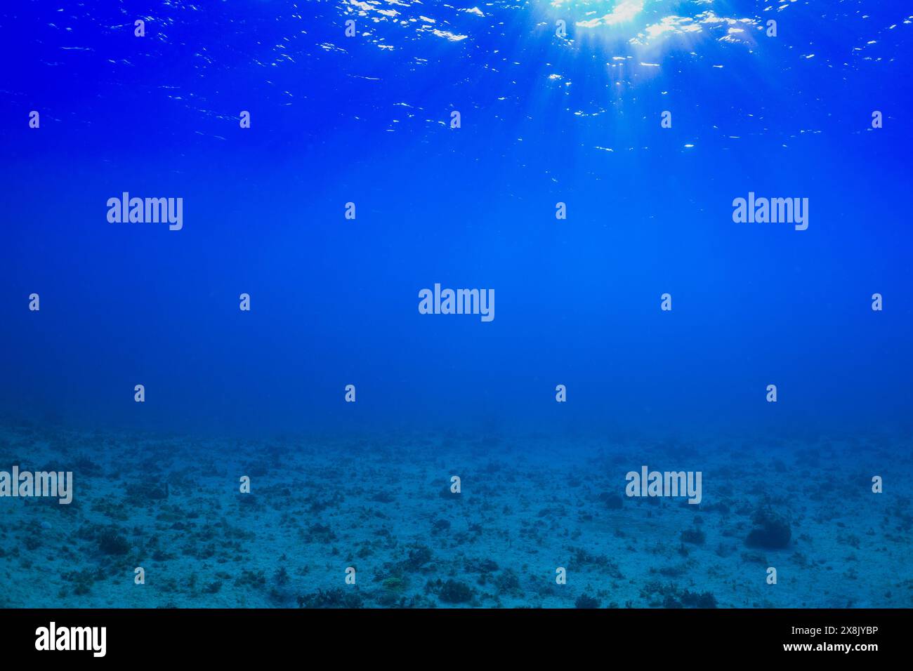 A nice open underwater scene showing infinite blue water sandwiched ...