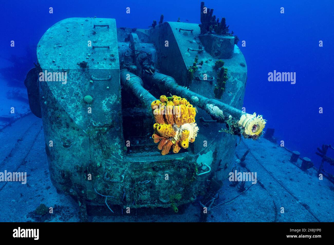Stern guns from the sunken wreck of the Captain Keith Tibbetts Russian ...