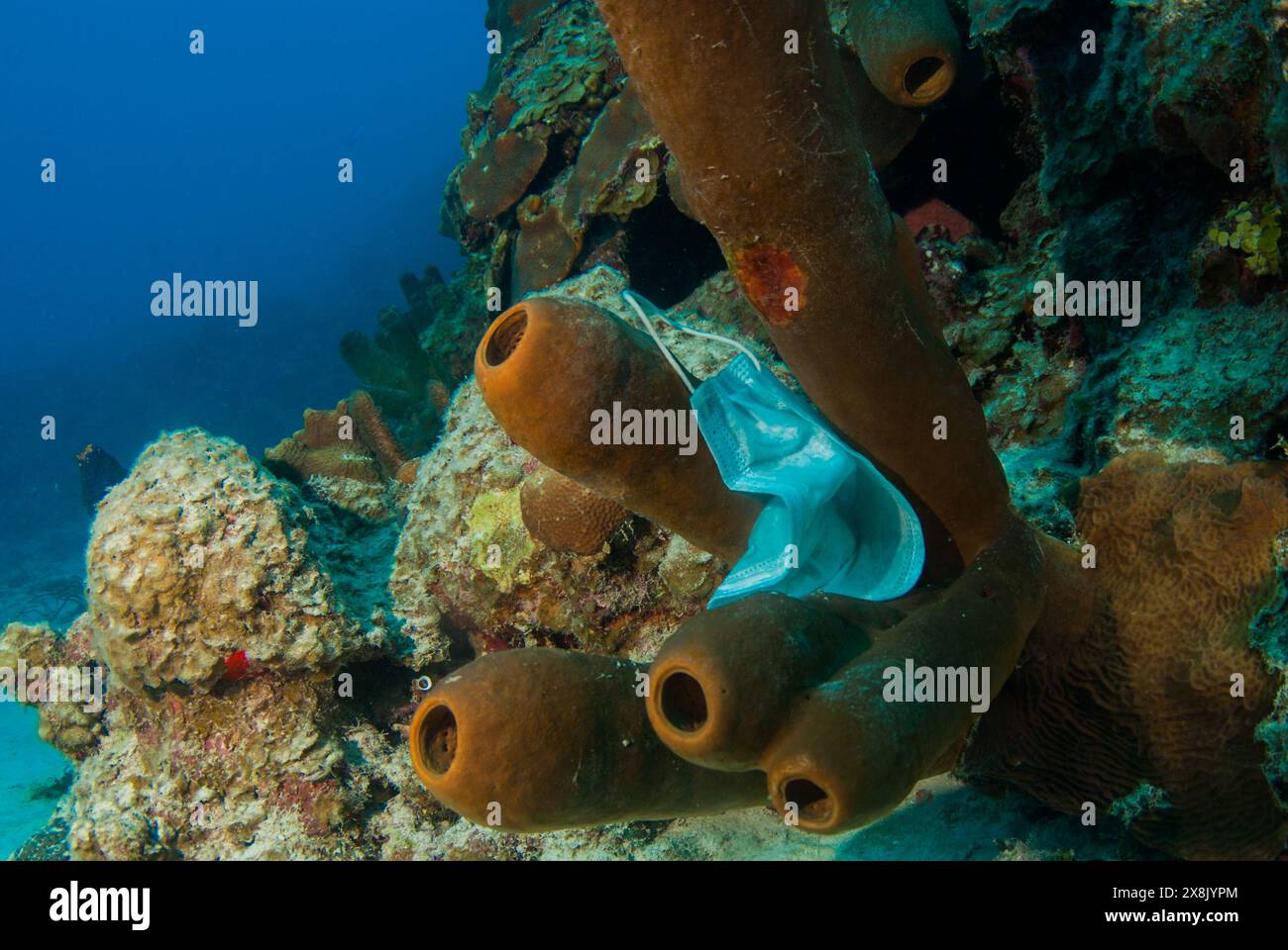 Discarded single use PPE face masks and a glove has washed up onto the ...