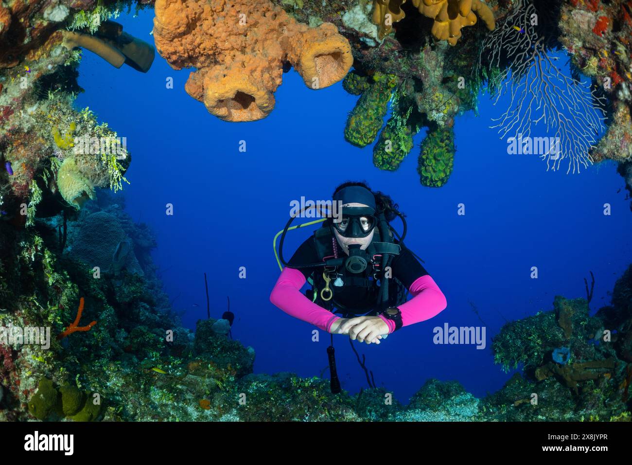 A young female scuba diver explores a canyon in a tropical Caribbean ...