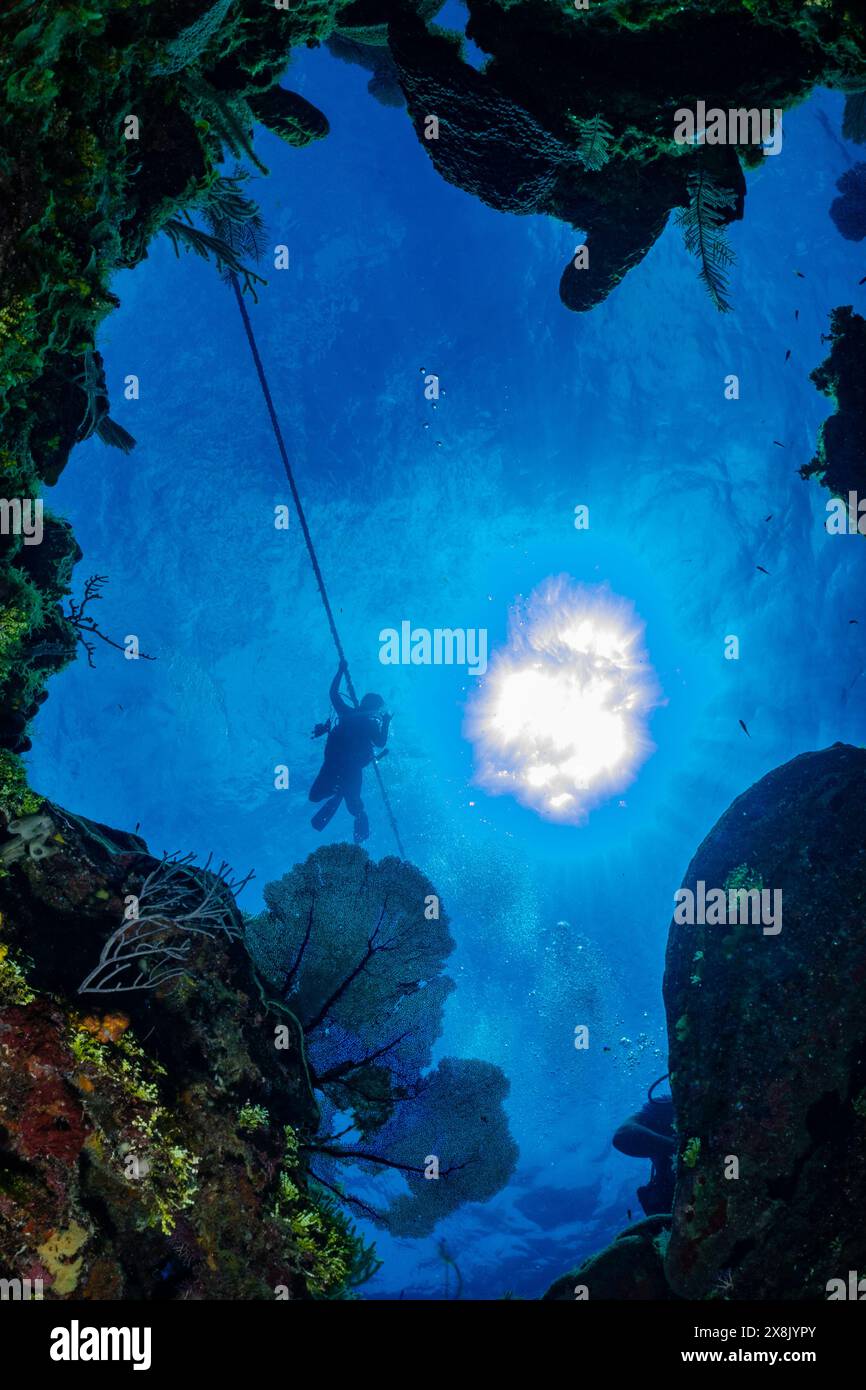 Scuba diver descends on a line from surface down to tropical Caribbean ...