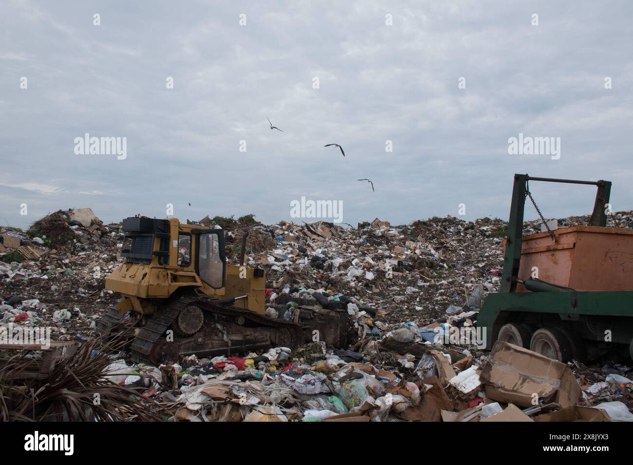 Digger vehicles at dump in Grand Cayman. The trash pile continues to ...