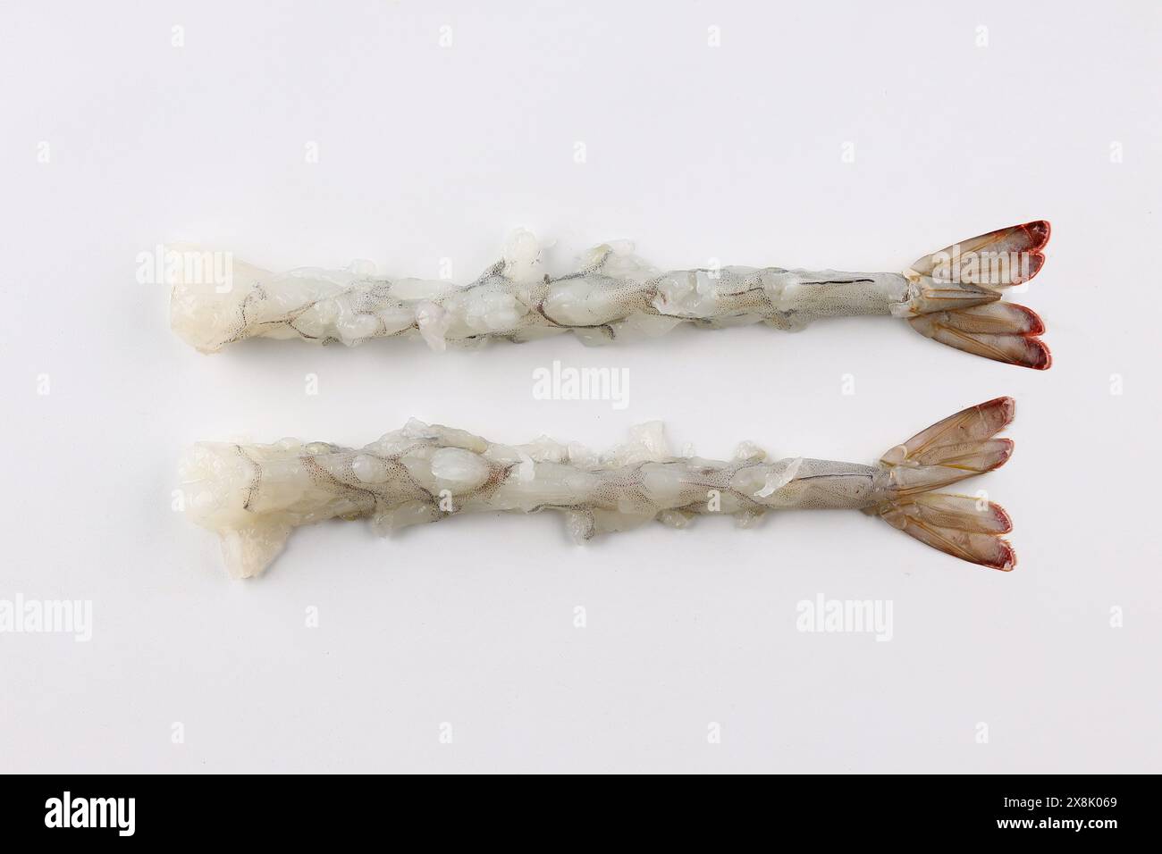 Seafood. Raw green royal prawns shrimp in a white plate with rosemary ...