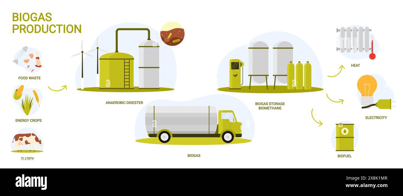 Biogas, bio energy production in industrial infographic scheme with process stages. Biomass of ...